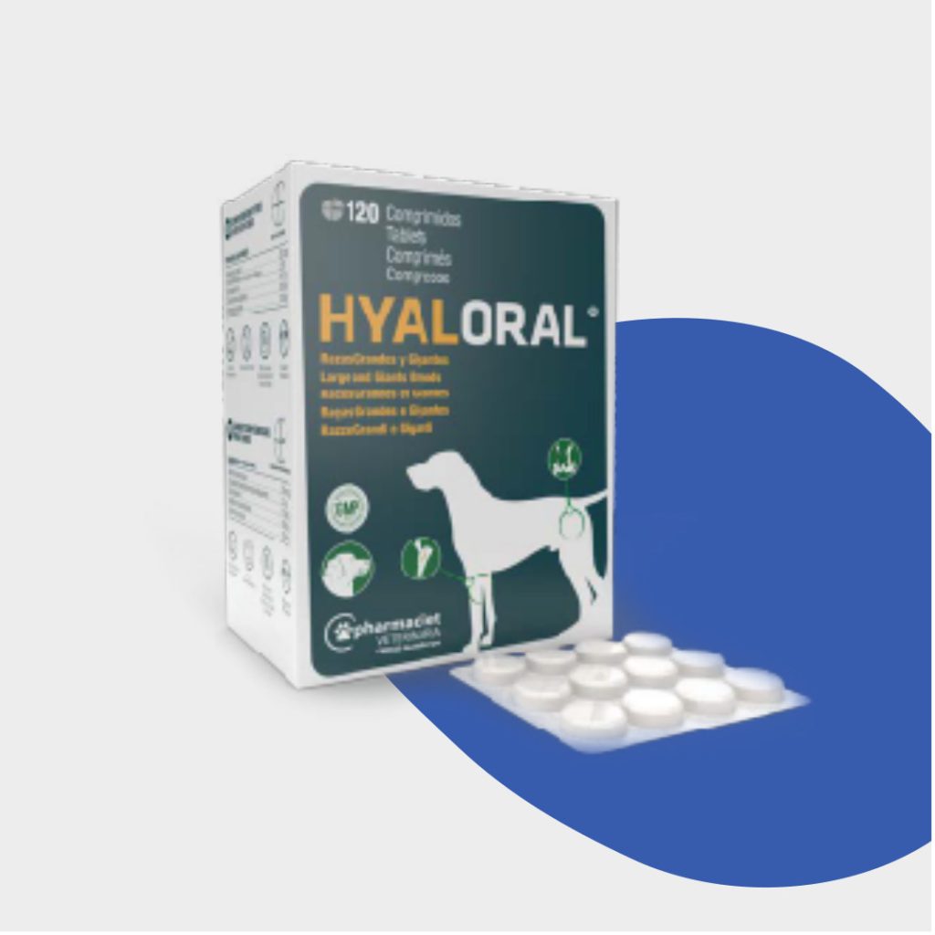 Hyaloral® Razas Grandes y Gigantes - Pharmadiet